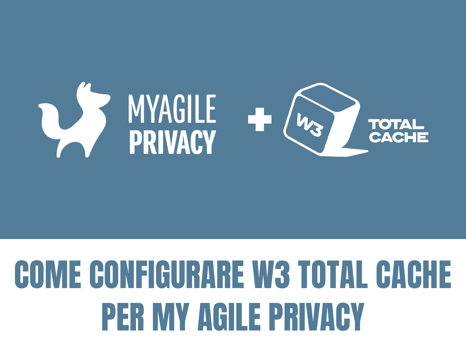 My Agile Privacy : L'unica soluzione GDPR per WordPress di cui puoi ...